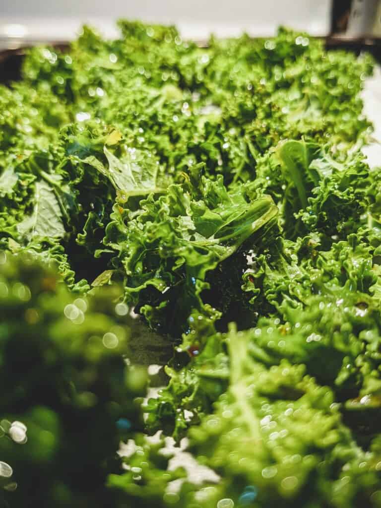 TasteGreatFoodie - The Best Way to Store Lettuce - Healthy Recipes