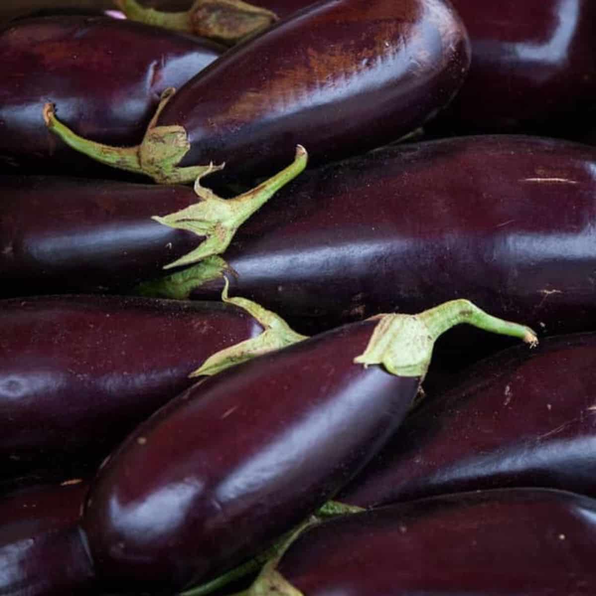 TasteGreatFoodie - Quick Skin-Peel Roasted Eggplant Hack - Tips and Tricks