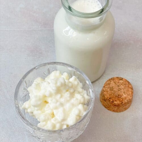 TasteGreatFoodie - Homemade Delicious Creamy Yogurt Kefir