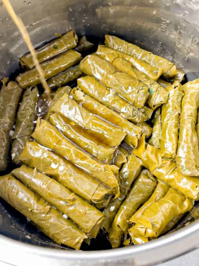 Vegetarian Grape Leaves (Instant Pot) - TasteGreatFoodie