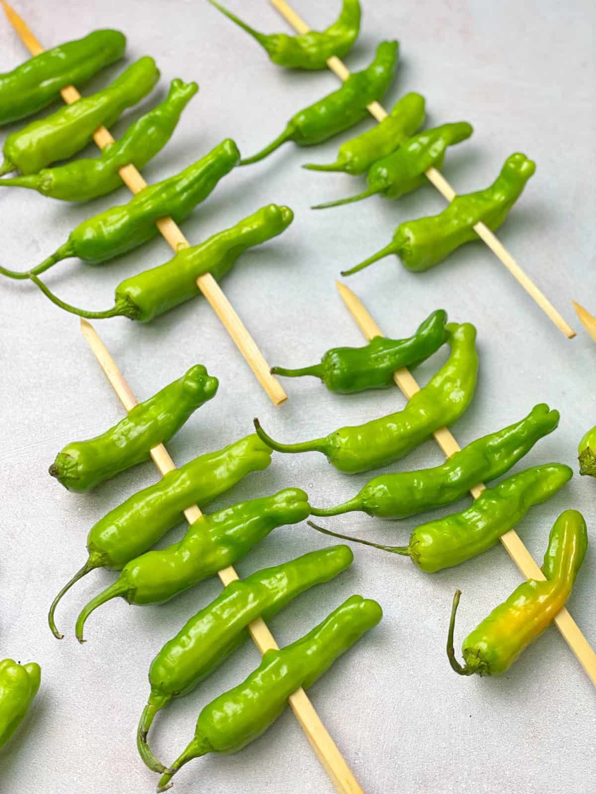 TasteGreatFoodie - Easy Grilled Shishito Peppers - Appetizers